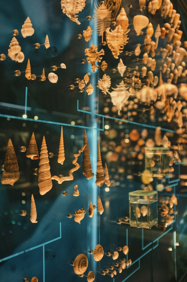 The Meguro Parasitological Museum – tokyopedia